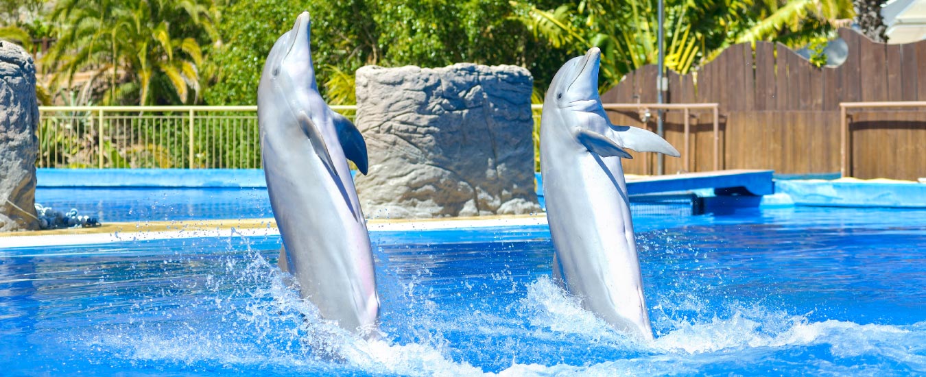 Visit Palmitos Park with Your Family | Club Mahindra