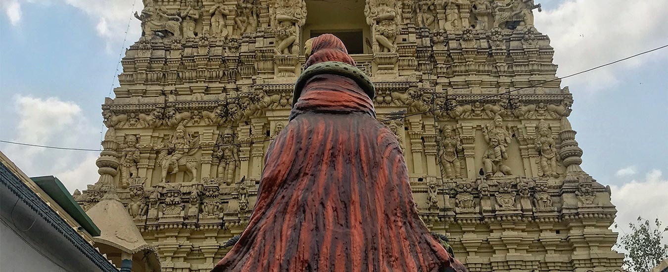 Dindi RVR, on the Godavari, A Club Mahindra Associate Resort