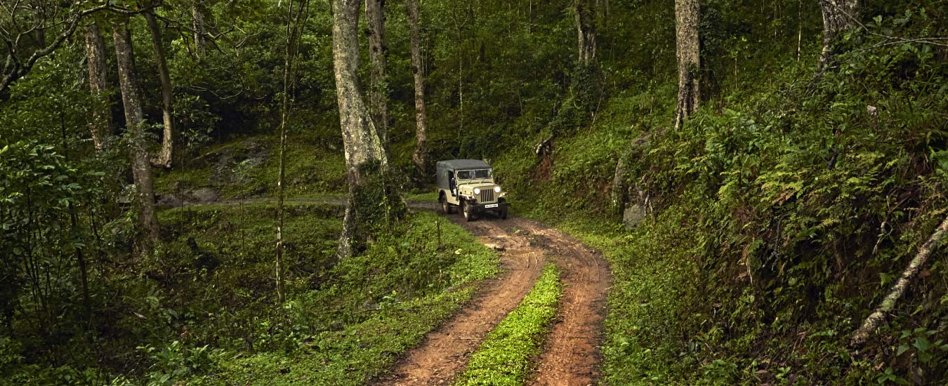 Club Mahindra Thekkady |Family Resort in Thekkady