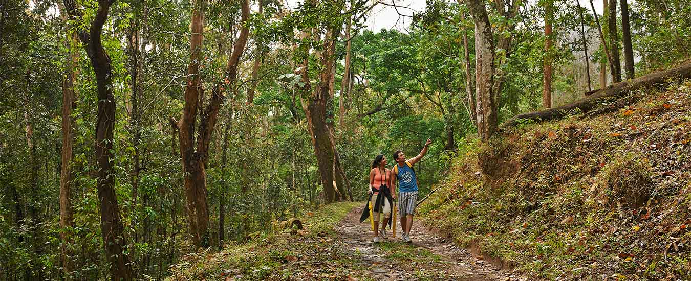 Forest Escape Koyna Resort near Pune by Club Mahindra